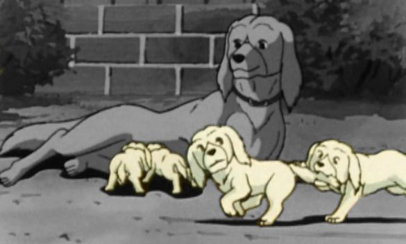 Cross' Welpen | Ginga Wiki | Fandom