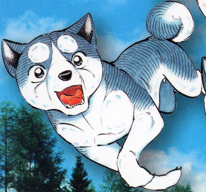 Sirius/Galerie | Ginga Wiki | Fandom