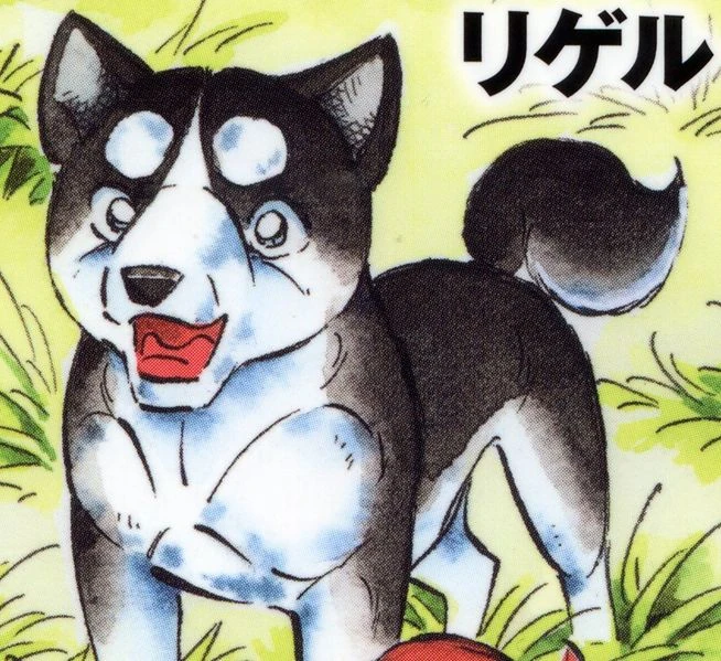 Rigel | Ginga Wiki | Fandom