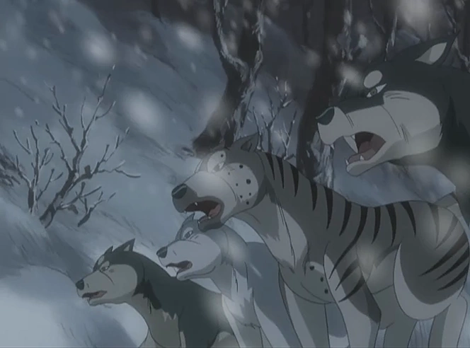 Shinsaku (GDW Anime)/Gallery | Ginga Wiki | Fandom