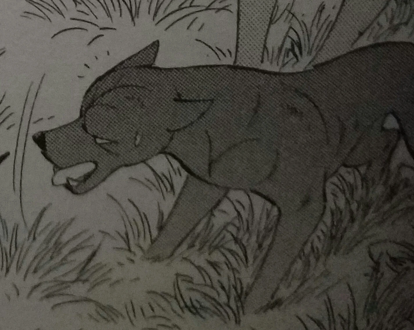 Kazuto/Gallery | Ginga Wiki | FANDOM powered by Wikia