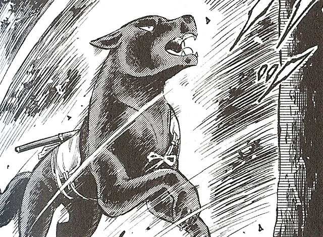 Kuma/Gallery | Ginga Wiki | Fandom