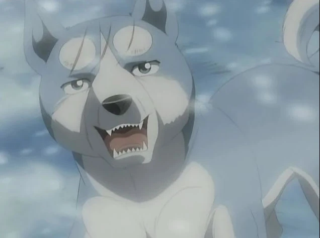 Category:Dogs | Ginga Wiki | FANDOM powered by Wikia