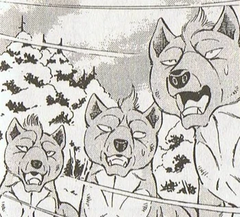Kōga Clan | Ginga Wiki | FANDOM powered by Wikia