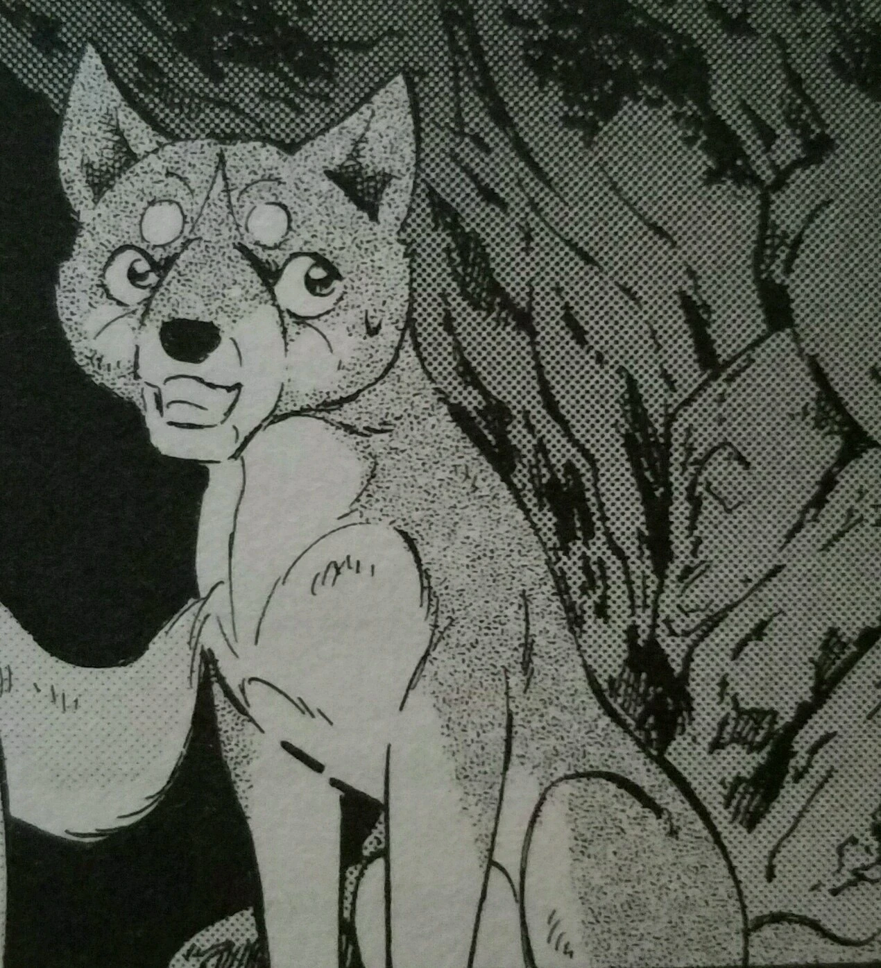 Kuranosuke/Gallery | Ginga Wiki | Fandom