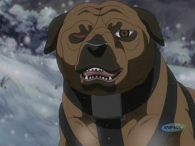 Category:GDW Characters | Ginga Wiki | Fandom