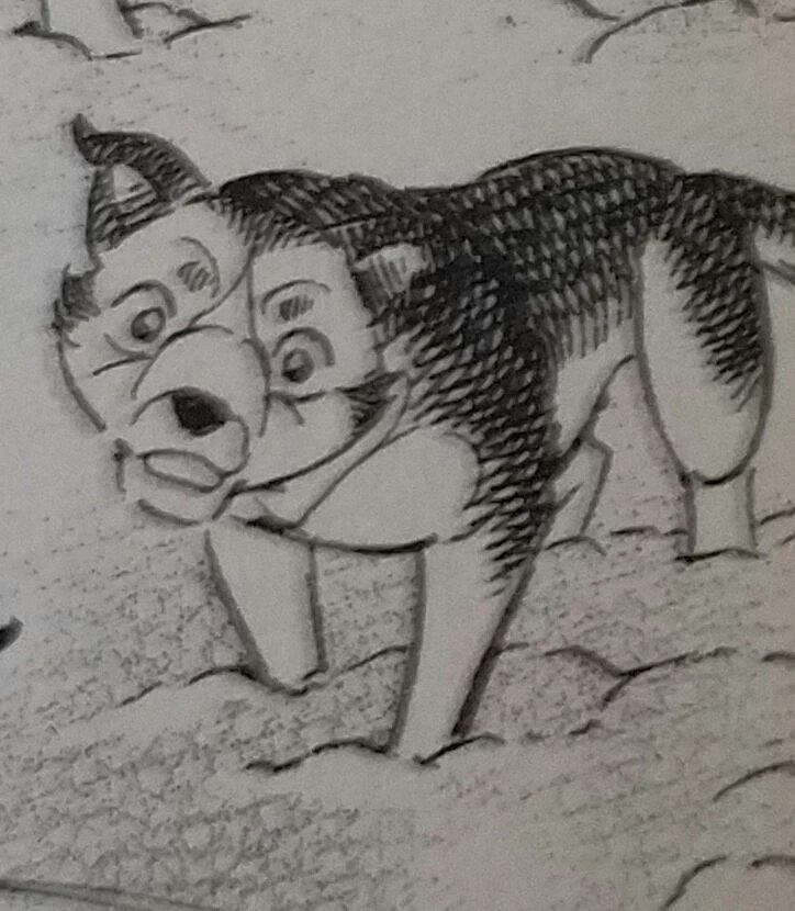 Maru/Gallery | Ginga Wiki | Fandom