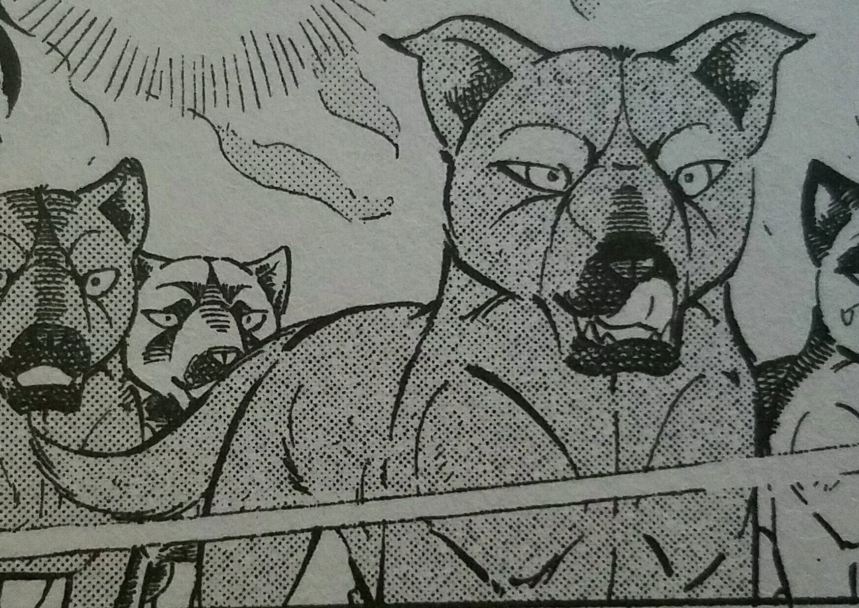 Mejiro/Gallery | Ginga Wiki | Fandom