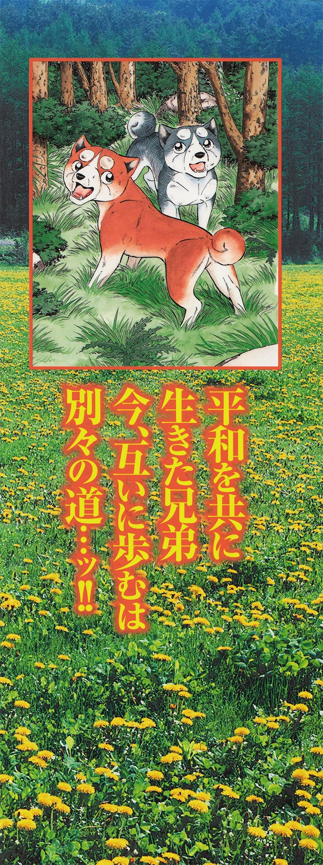 Volume 9 (GDWO)/Gallery | Ginga Wiki | Fandom