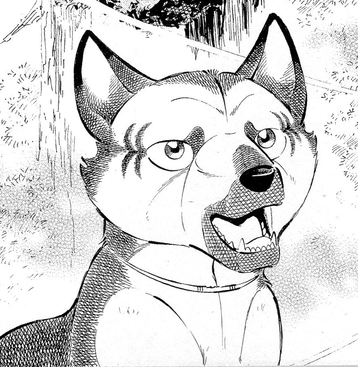 Andy Valkom | Ginga Wiki | FANDOM powered by Wikia