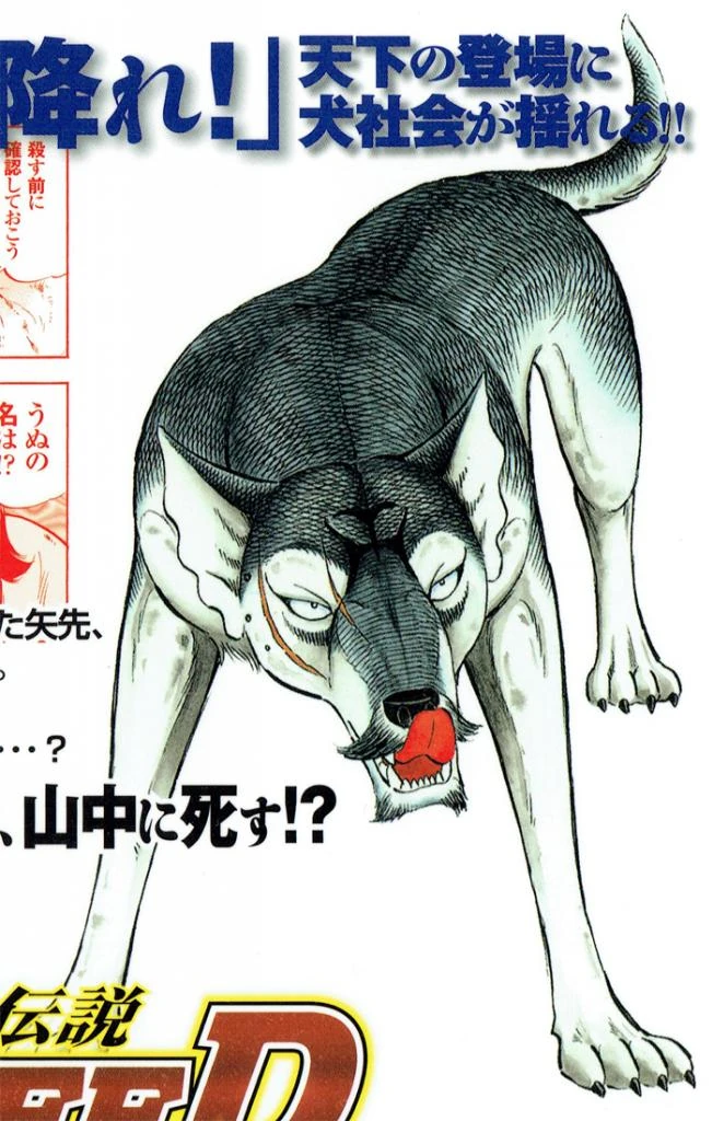 Tenka/Gallery | Ginga Wiki | Fandom