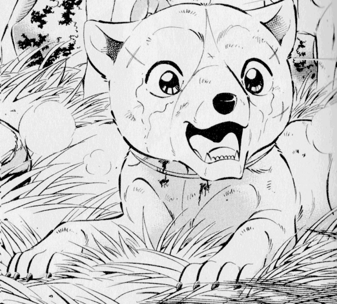 Kotetsu/Gallery | Ginga Wiki | Fandom