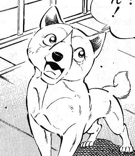 Mimi | Ginga Wiki | Fandom