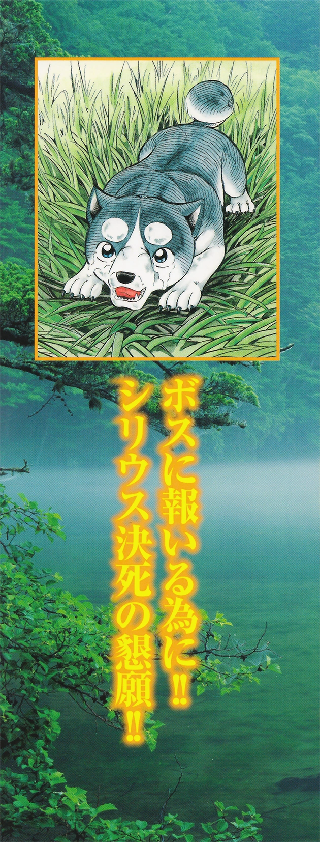 Volume 14 (GDWO)/Gallery | Ginga Wiki | Fandom