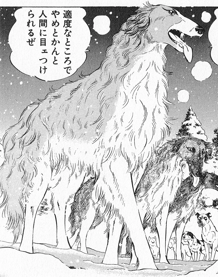 Rocket/Gallery | Ginga Wiki | Fandom