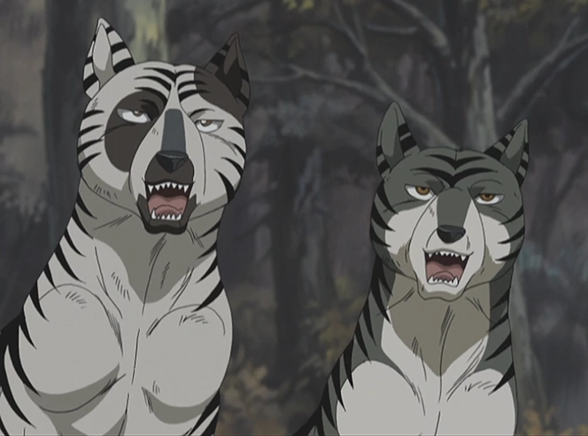 Nobutora/Gallery | Ginga Wiki | Fandom