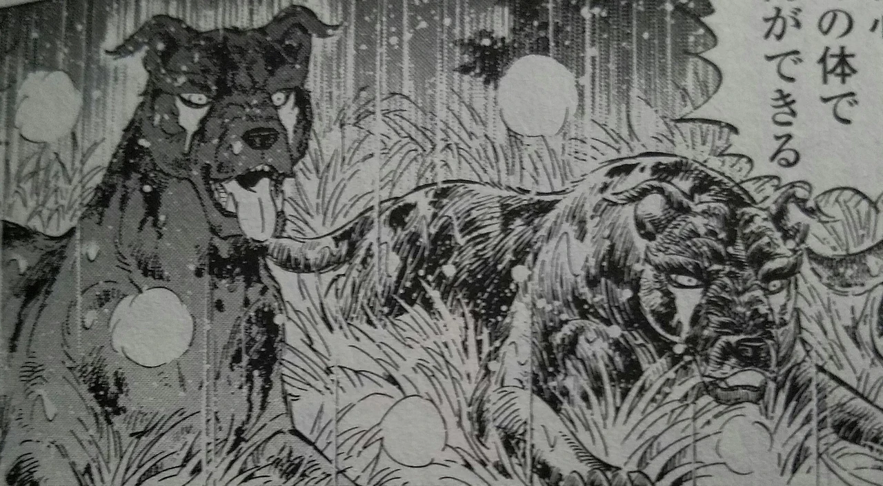 Image - Tumblr on6fbdN3VZ1tr6wqbo6 1280.jpg | Ginga Wiki | FANDOM ...