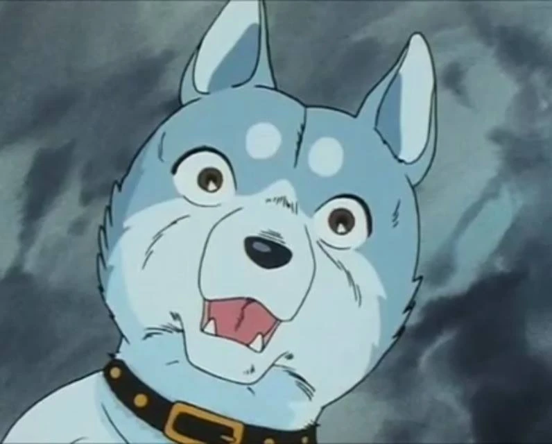 Image - 1969234 565511446877477 1930582458 n.jpg | Ginga Wiki | FANDOM ...