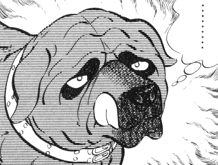 Musashi/Gallery | Ginga Wiki | Fandom