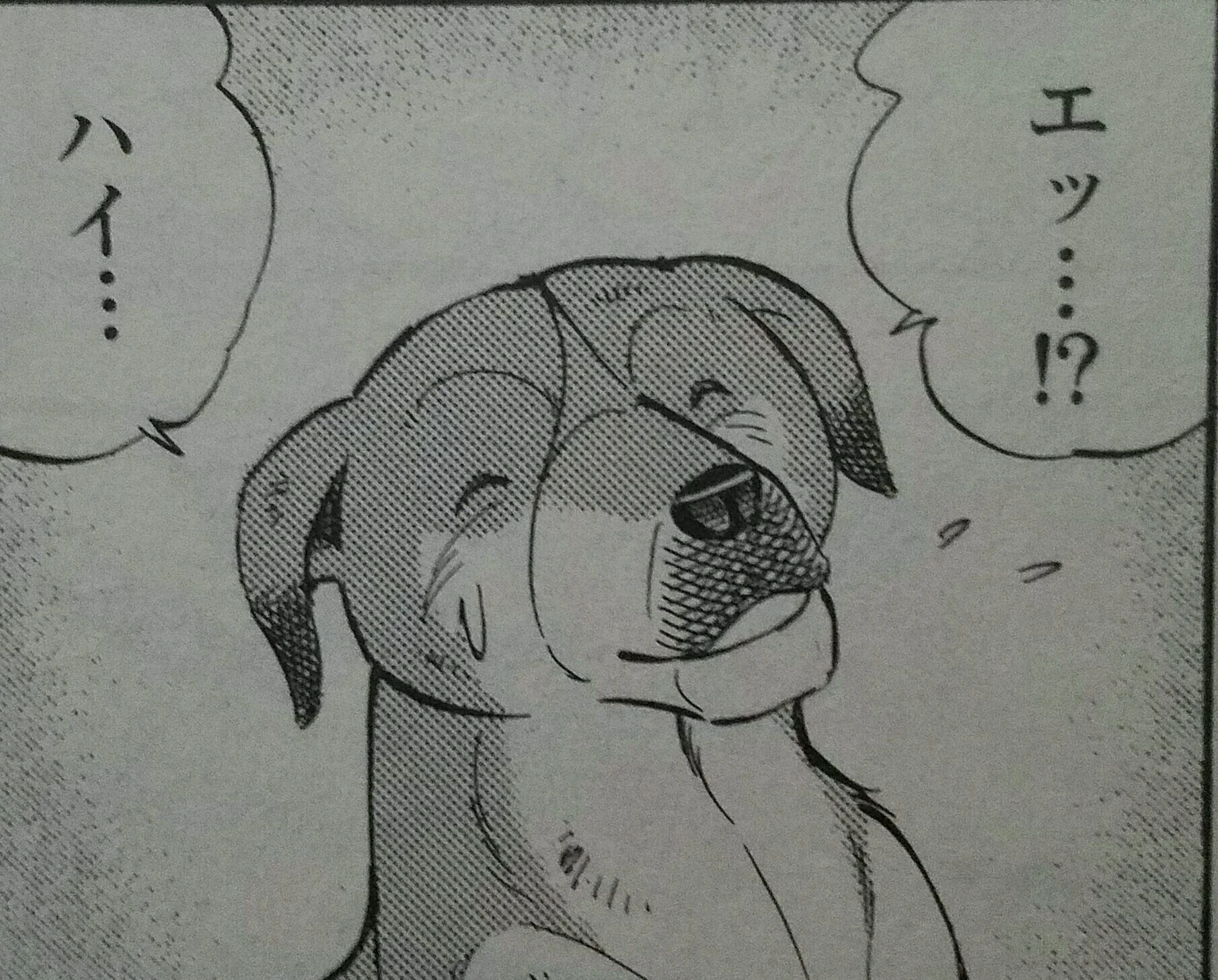 Image - IMG 0067.jpg | Ginga Wiki | FANDOM powered by Wikia