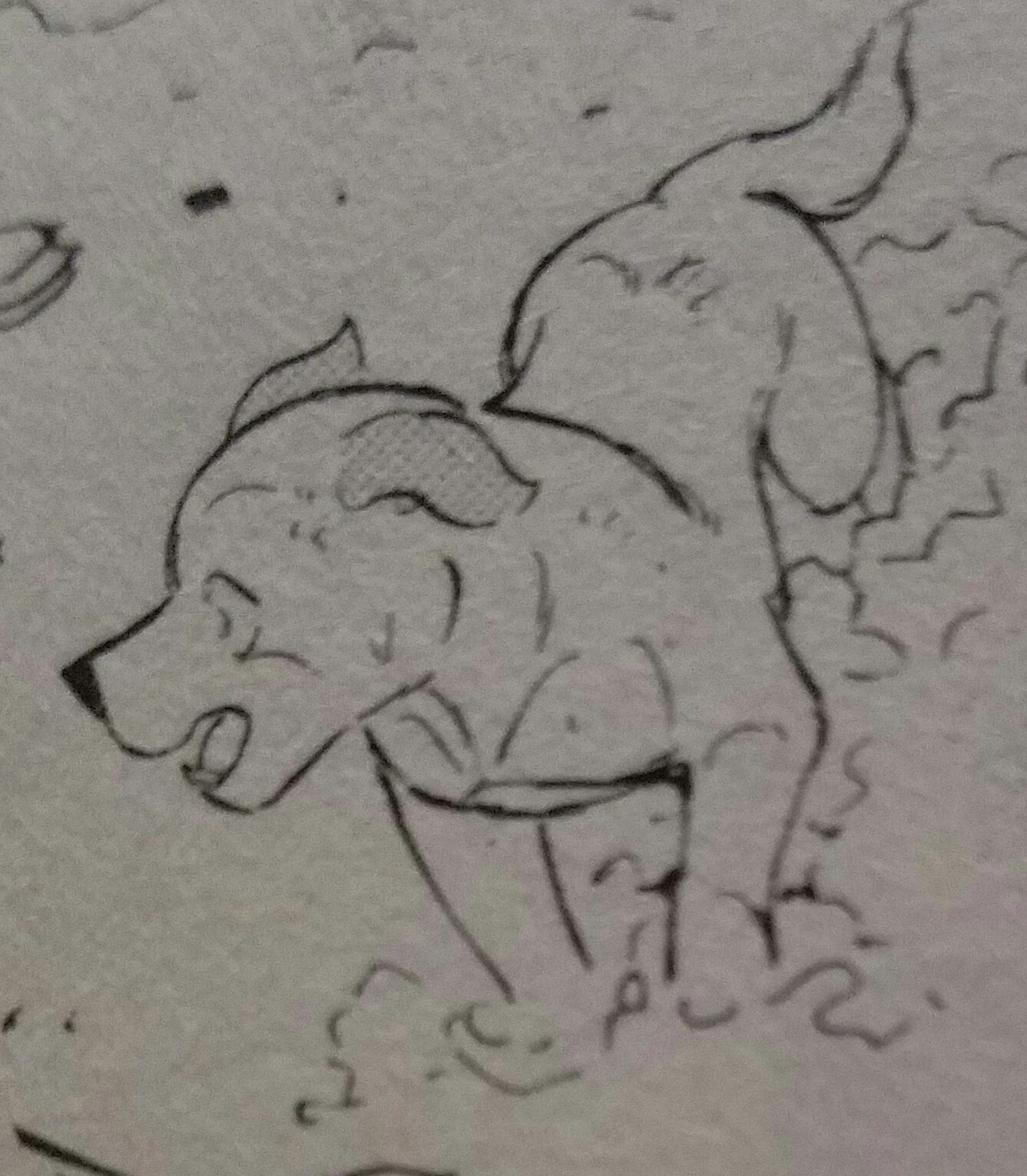 Image - IMG 9933.jpg | Ginga Wiki | FANDOM powered by Wikia