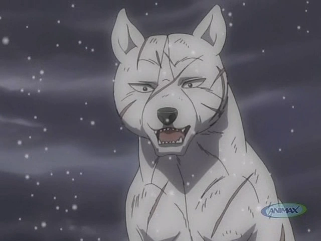 Category:Former Enemies | Ginga Wiki | Fandom