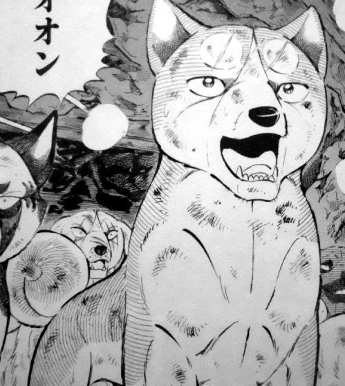 Image - 1bb26fbbfc7edb90f7fdaead2df84916.jpg | Ginga Wiki | FANDOM ...