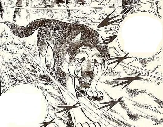 Image - John mangá.JPG | Ginga Wiki | FANDOM powered by Wikia