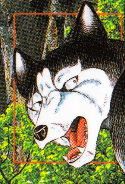 Hakurō | Ginga Wiki | Fandom