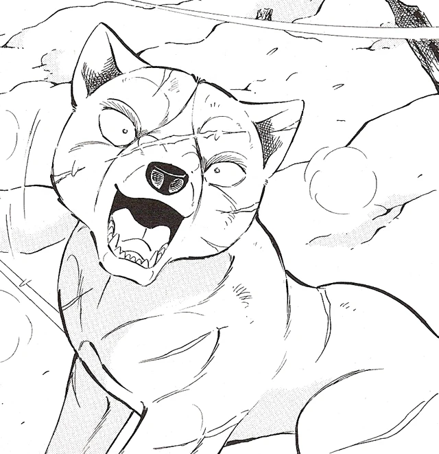 Kyōshirō | Ginga Wiki | Fandom