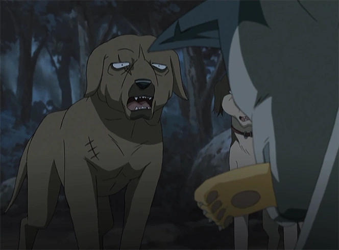 Bell/Gallery | Ginga Wiki | Fandom