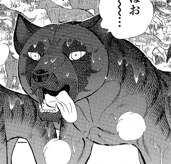 Kōsetsu/Gallery | Ginga Wiki | Fandom