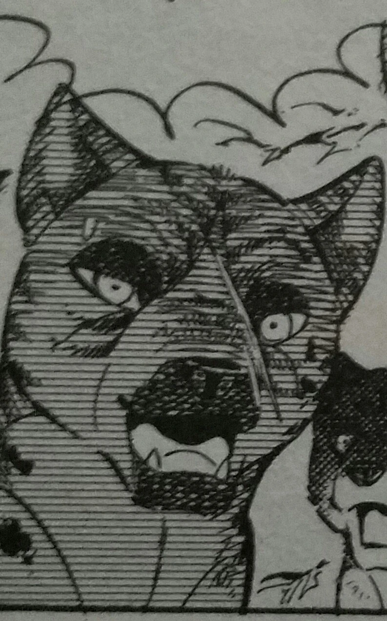 Kagetora | Ginga Wiki | FANDOM powered by Wikia