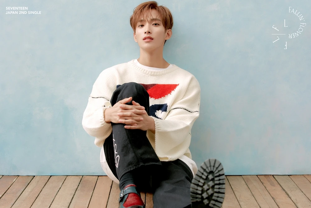 DK | Seventeen Wiki | Fandom