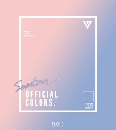 CARAT | Seventeen Wiki | FANDOM powered by Wikia