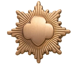 Bronze Award | Girl Scout Wiki | FANDOM powered by Wikia