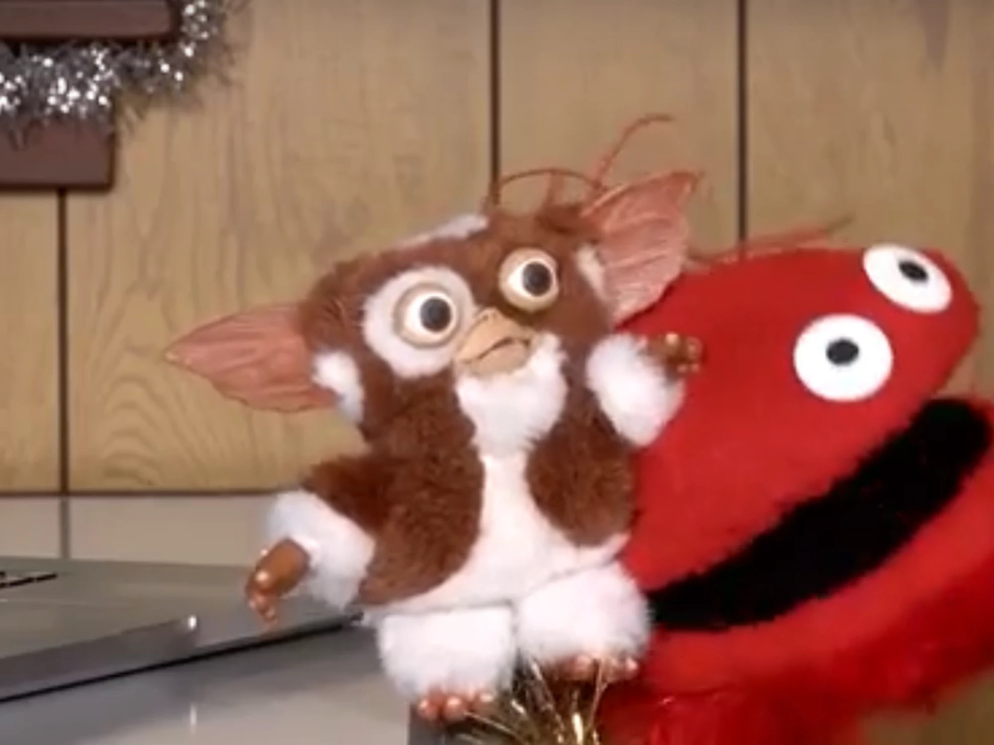 Mogwai | Glove and Boots Wiki | Fandom