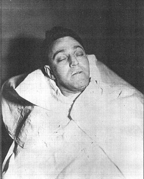 Battle of Palace Chophouse | The Godfather Video Game Wiki | FANDOM ...