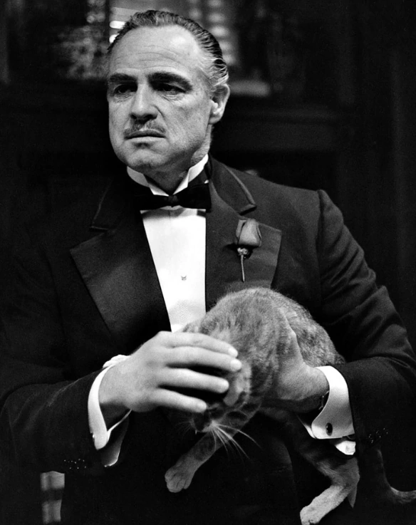 Vito Corleone | The Godfather Video Game Wiki | Fandom