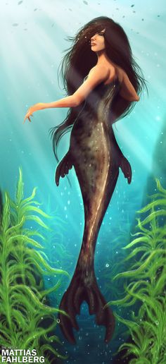Selkie Gods And Goddess Wiki Fandom Powered By Wikia