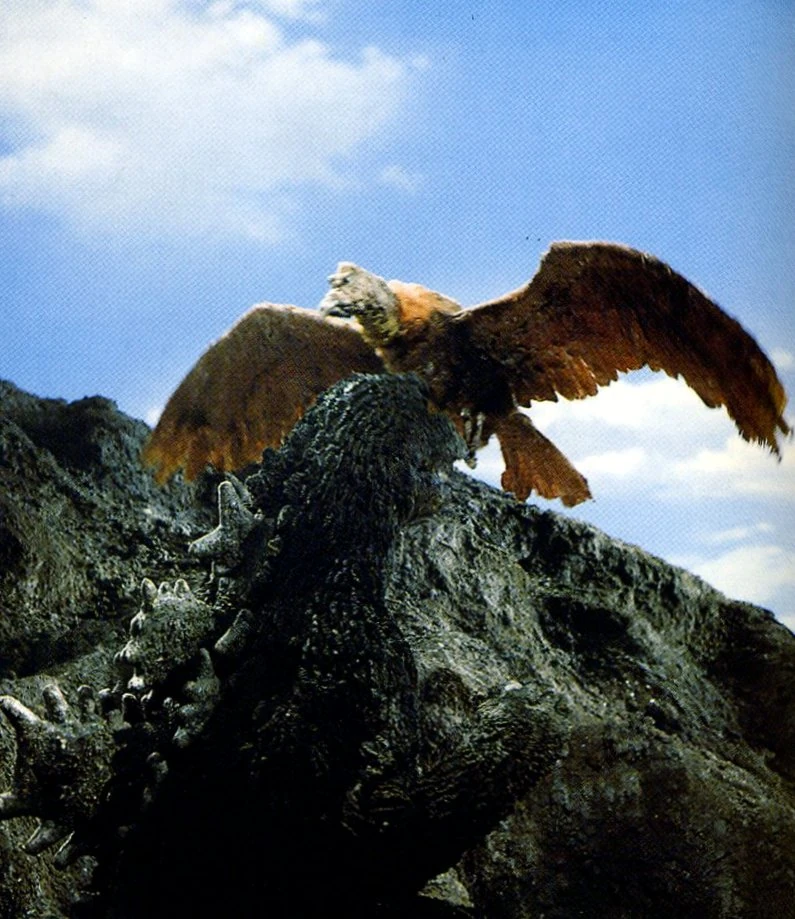 Giant Condor | Gojipedia | Fandom