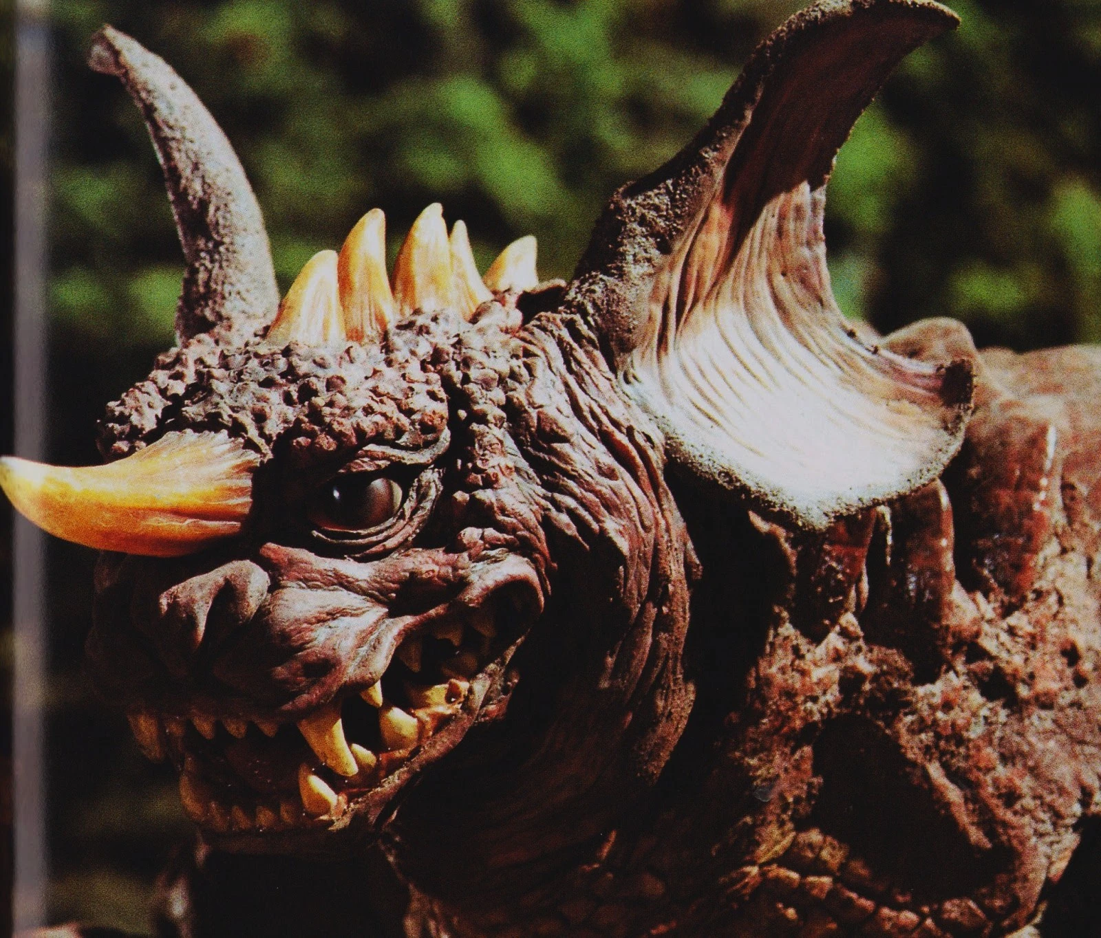 Image - GMK - Baragon Head Shot.jpg | Gojipedia | FANDOM powered by Wikia