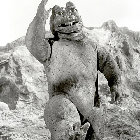 Image - Minilla 0.jpg | Gojipedia | FANDOM powered by Wikia