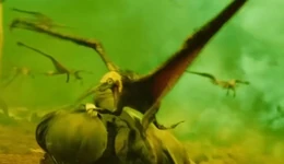Psychovulture | Gojipedia | FANDOM powered by Wikia