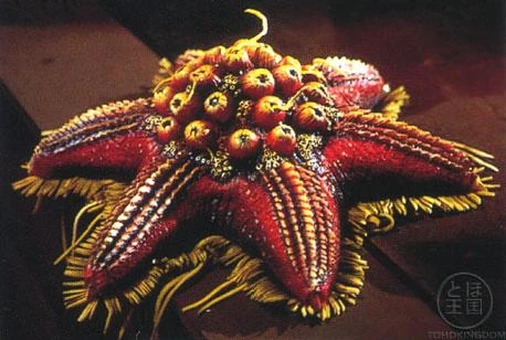 Godzilla WOR: Dagahra by Sideswipe217 on DeviantArt