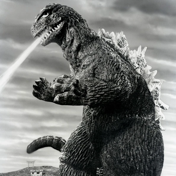 Image - Godzilla (1962) - Infobox.jpg | Gojipedia | FANDOM powered by Wikia