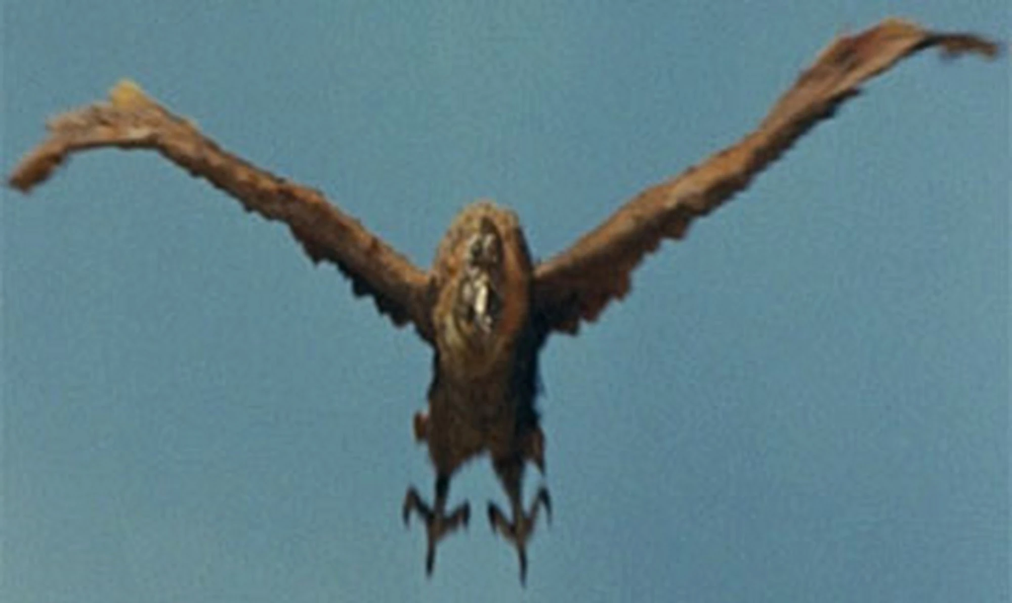 Ookondoru (MLP) | Zilla Fanon Wiki | Fandom