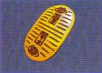 Coin | Ganbare Goemon Wiki | Fandom