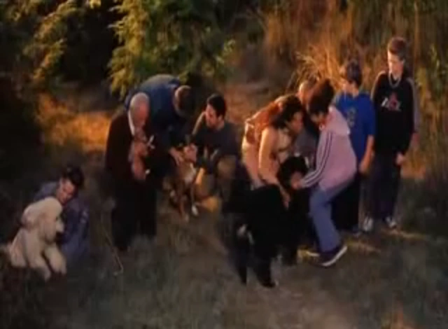 Good Boy! | Good Boy! Wiki | FANDOM powered by Wikia