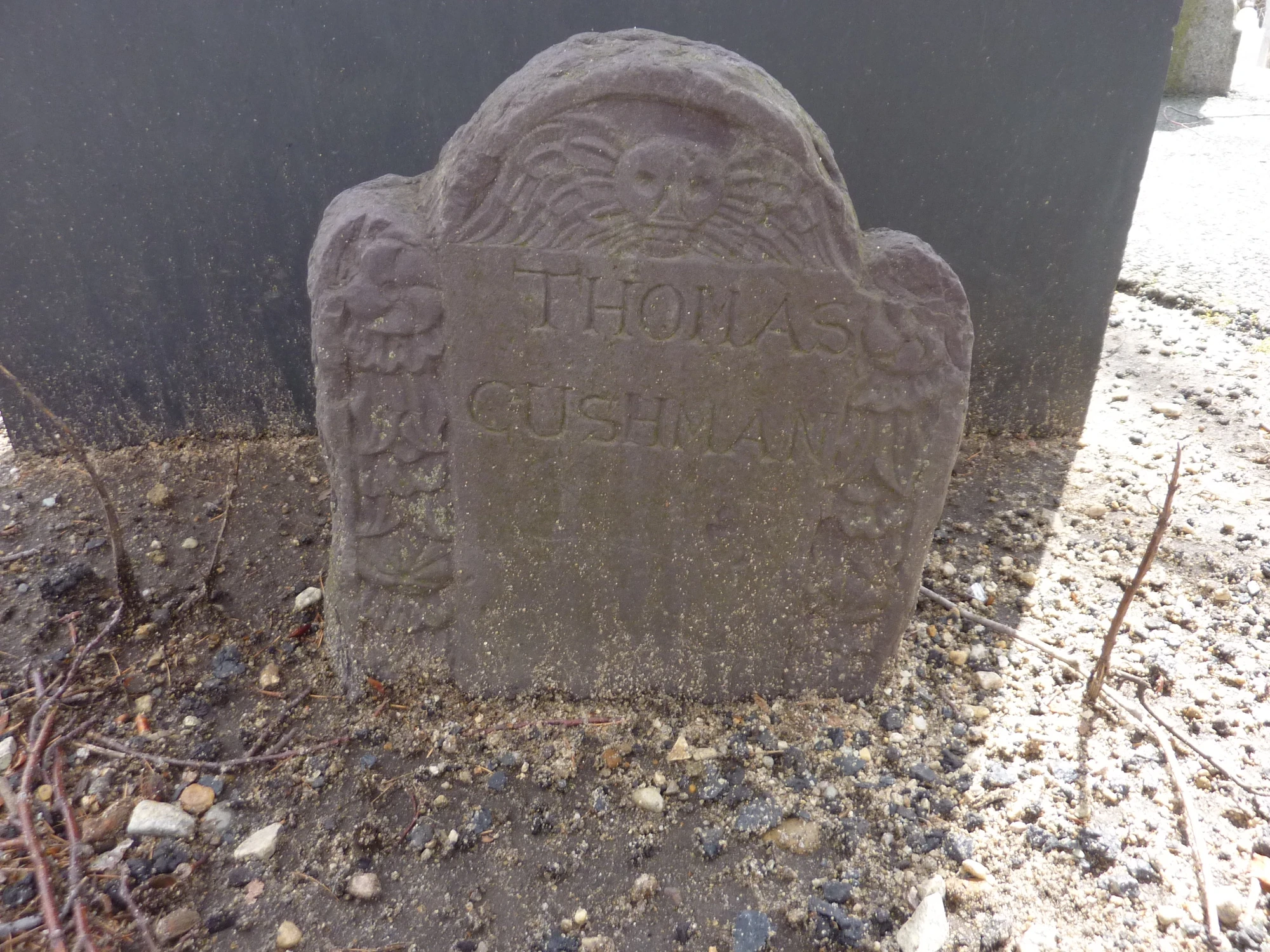 Thomas Cushman (Plymouth colonist) | Goodwin-Genealogy Wikia | Fandom